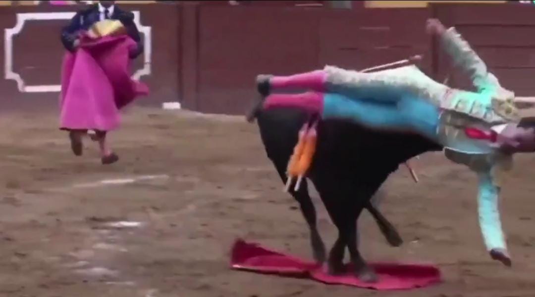 Torero mexicano, Emilio Macías, sufre embestida durante corrida en ...